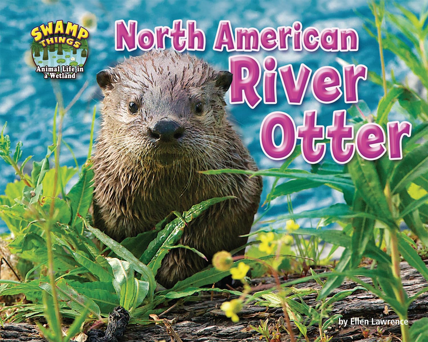 North American River Otter (Swamp Things: Animal Life in a Wetland ...