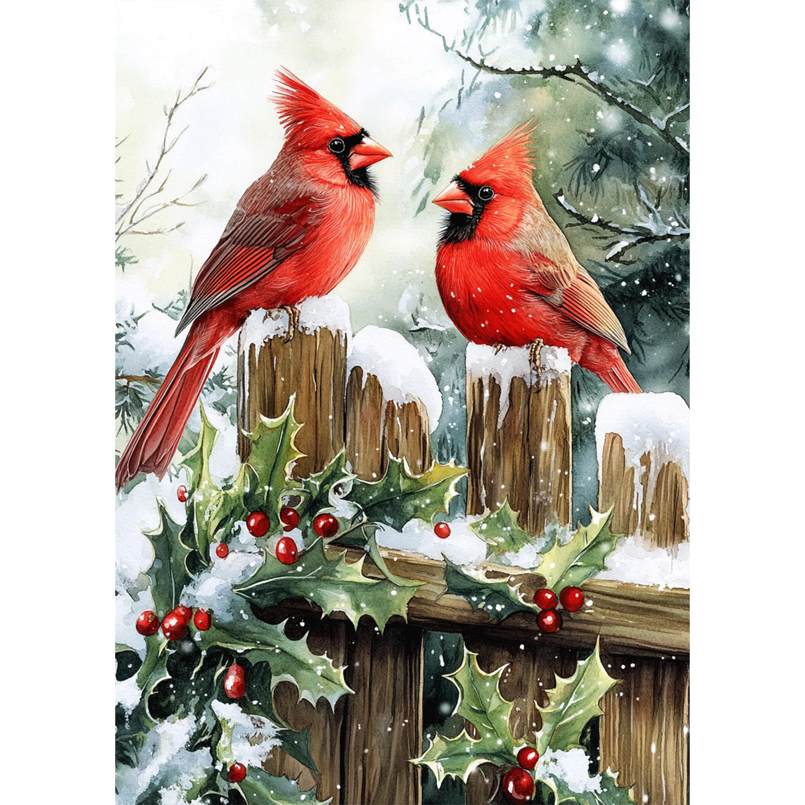 Amazon.com: MEIYUDA Winter Cardinal Christmas Diamond Art Kits, 5D ...