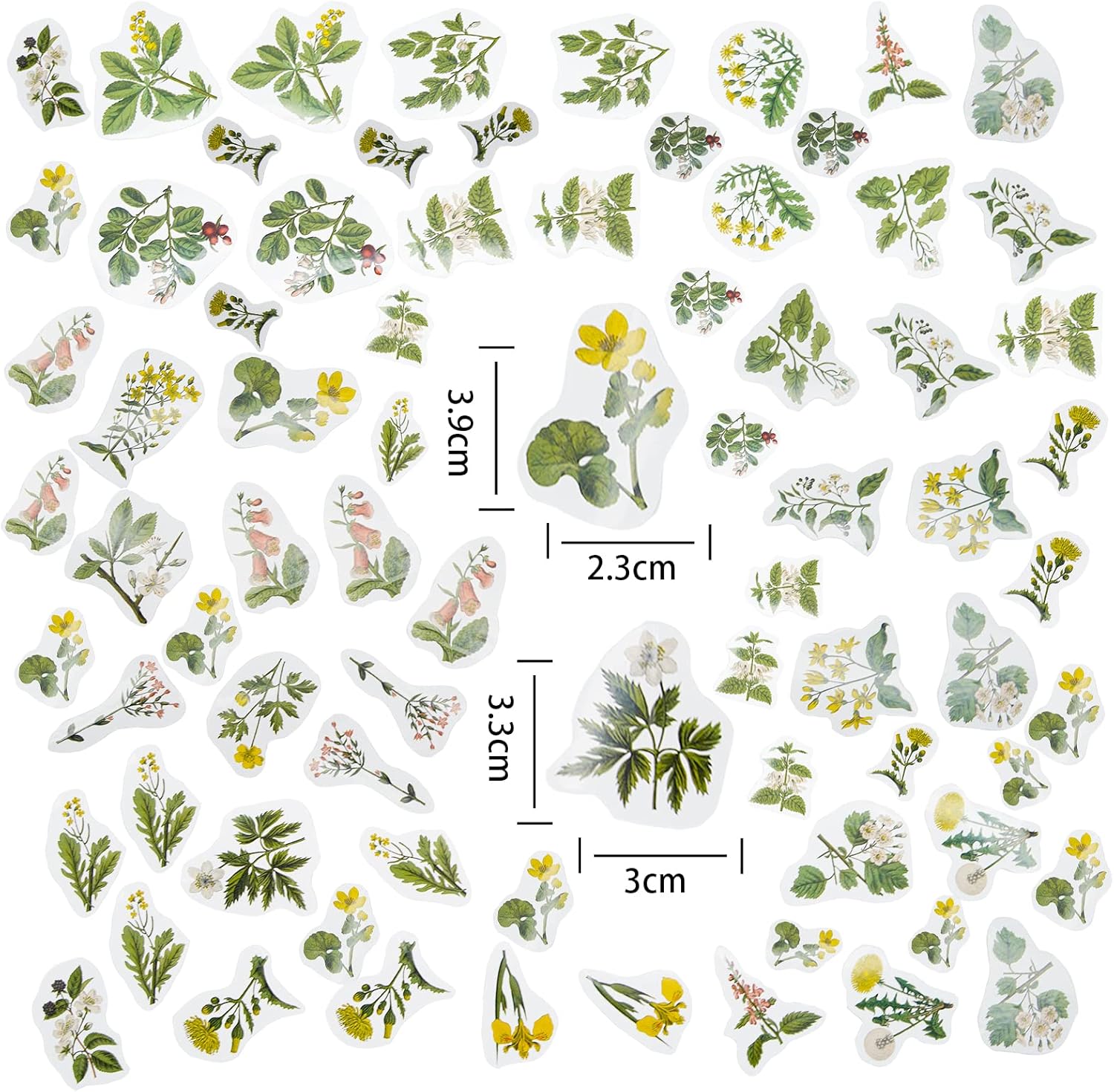 180PCS Green Plants Scrapbook Stickers,Mini Scrapbook Decoration ...