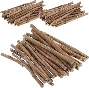 Amazon.com: 100pcs DIY Boxwood Sticks Tea Tree Sticks Wood Log Sticks ...