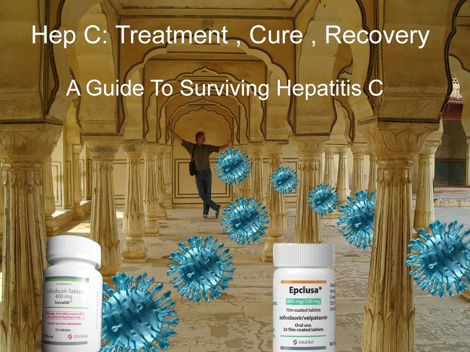 Amazon.com: Hep C: Treatment, Cure and Recovery: A Guide to Surviving ...