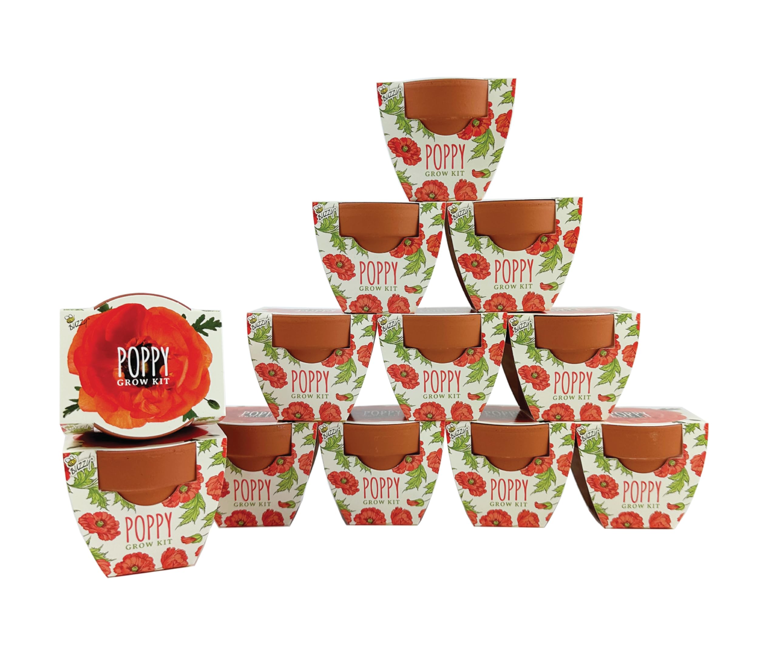 Snapklik.com : Seeds Terracotta Mini Grow Pots Herb, Plant, Flower ...