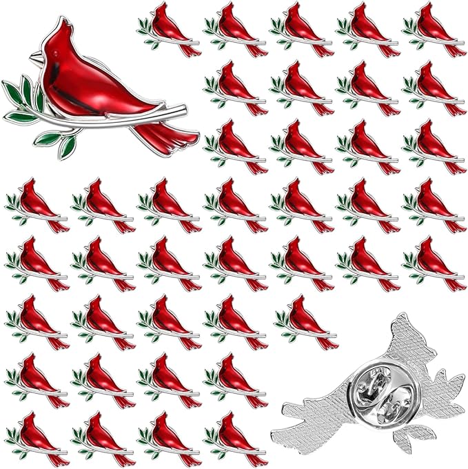 Amazon.com: Jexine 40 Pcs Memorial Cardinal Sign Pins Set Funeral ...