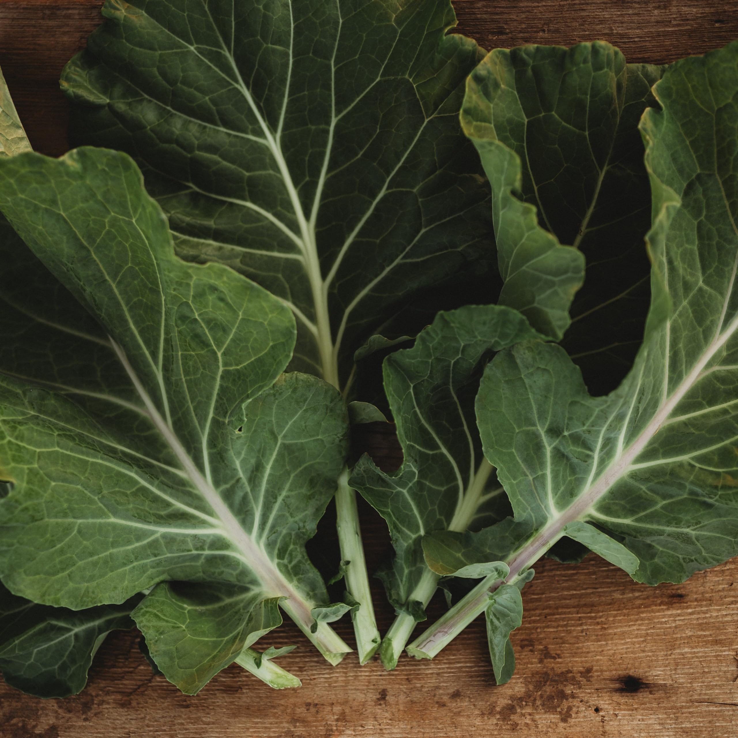Amazon.com : Georgia Southern Collard Greens - 100 Seeds - Flavorful ...