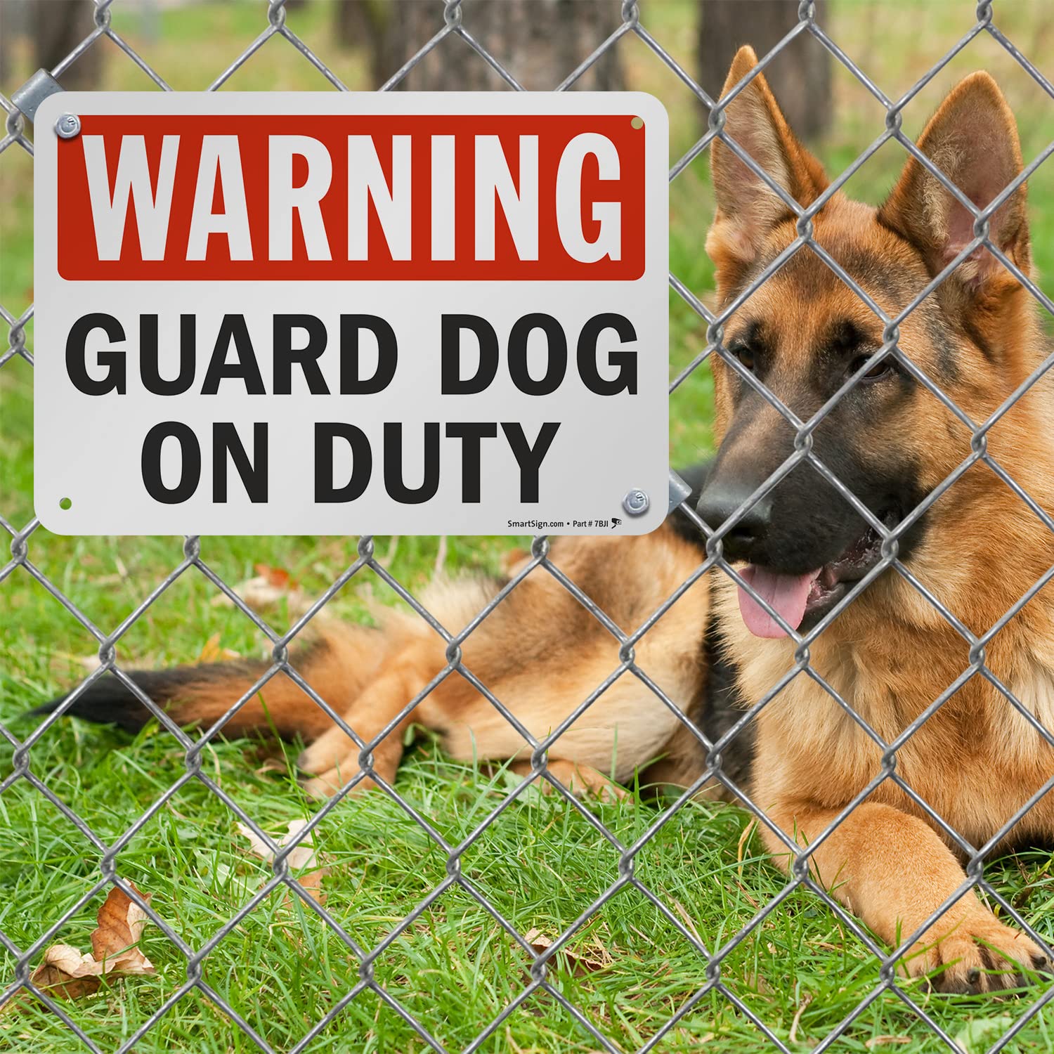 Guard Dog On Duty Warning Sign Funny Sign Guard Dog On Duty Royalty