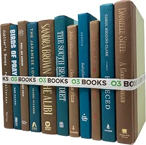 Amazon.com: Mixed Brown Decorative Hardcover Book Sets for Home ...