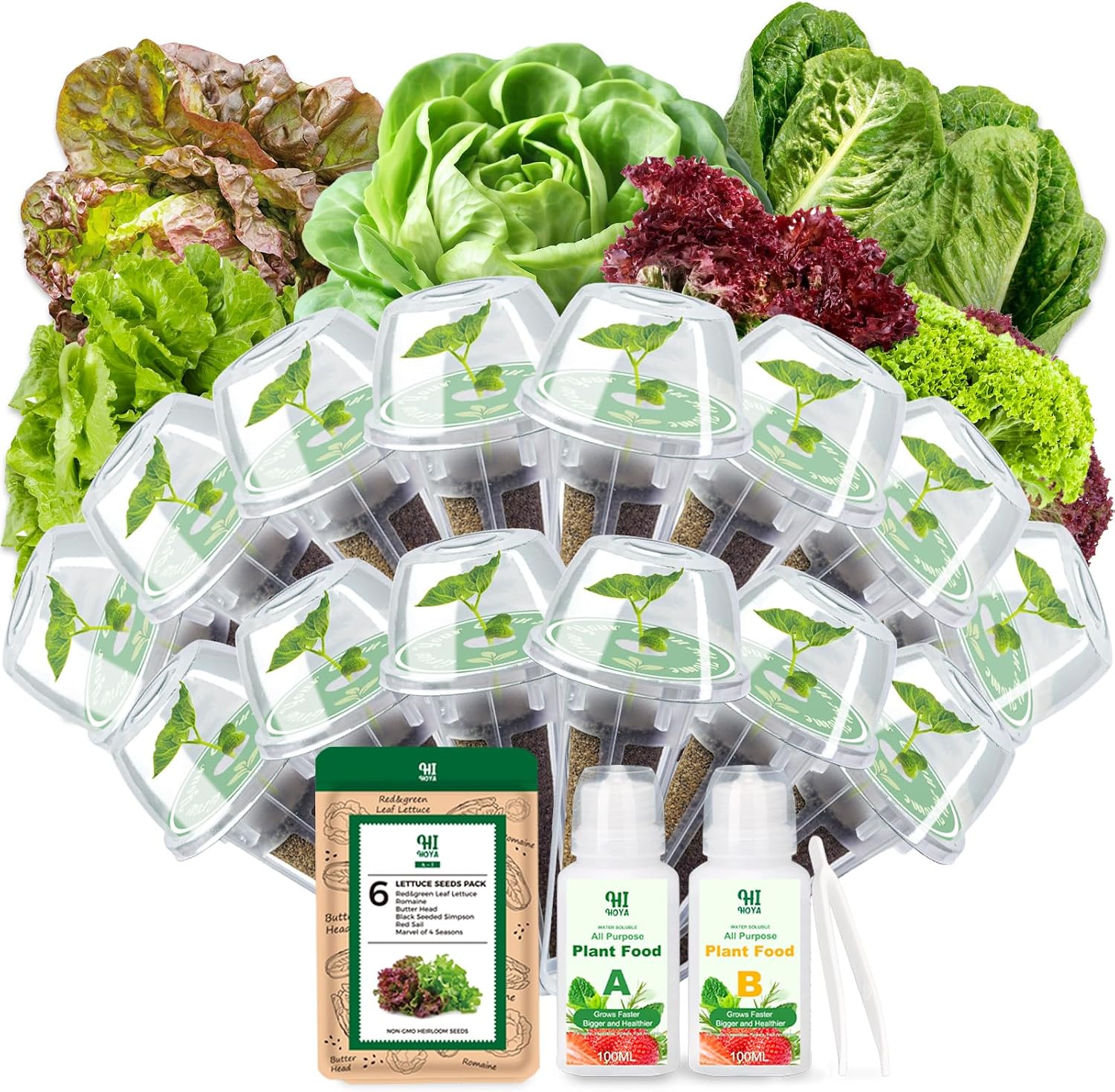 Amazon.com : Salad Greens Seed Pod Kit, Grow Anything Kit for All ...