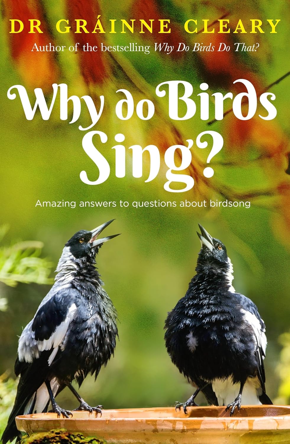 Why Do Birds Sing? : Cleary, Grainne: Amazon.com.au: Books