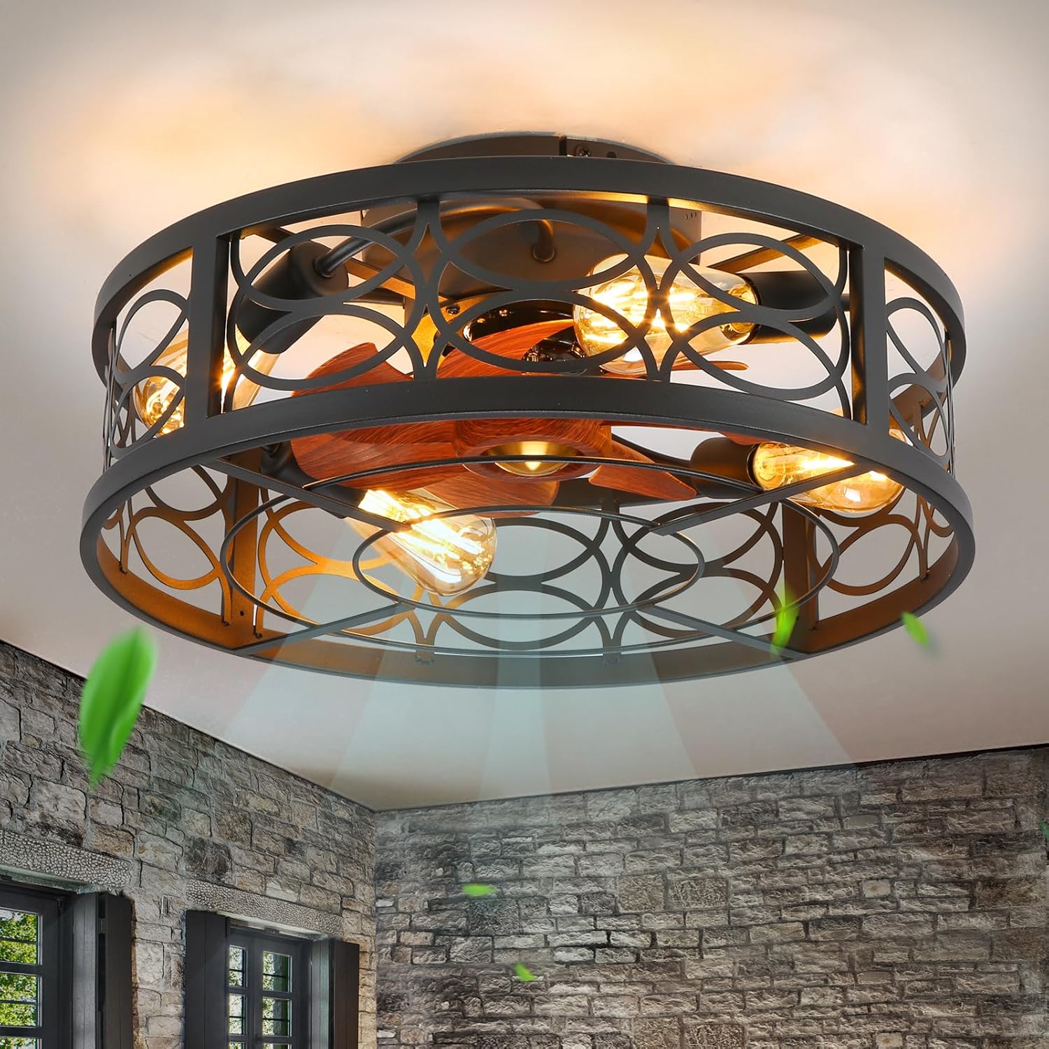Amazon.com: HUEOCZW 20" Caged Ceiling Fan with Light and Remote ...