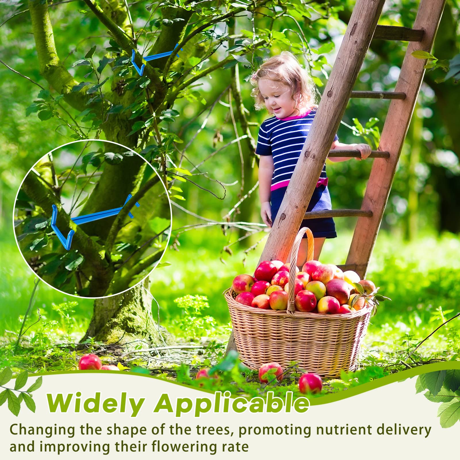 Snapklik.com : 100 Pcs 3.5 X 1.6 Inch Branch Limb Spreader Blue Plastic ...