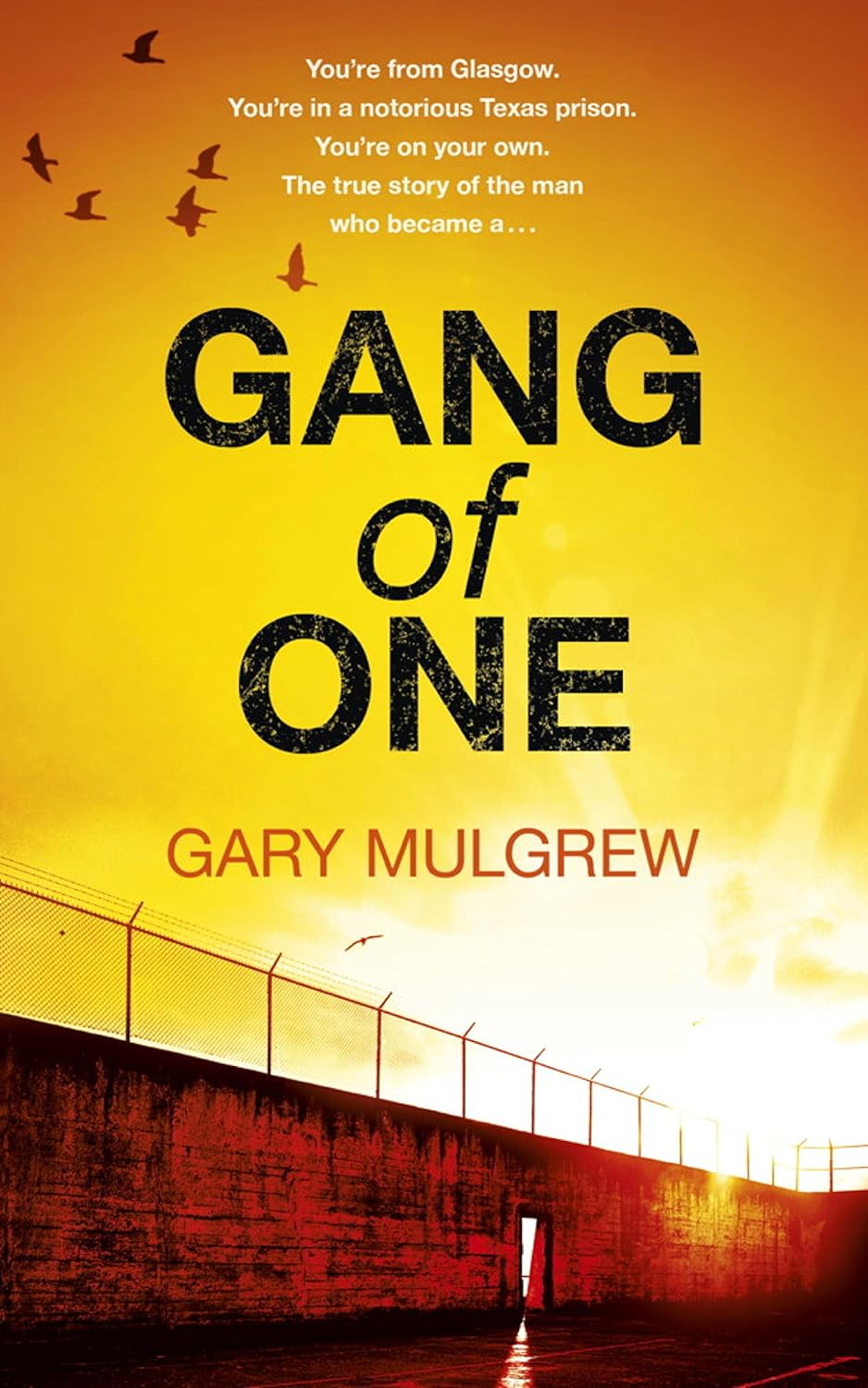 Amazon.com: Gang of One: One Man's Incredible Battle to Find his ...