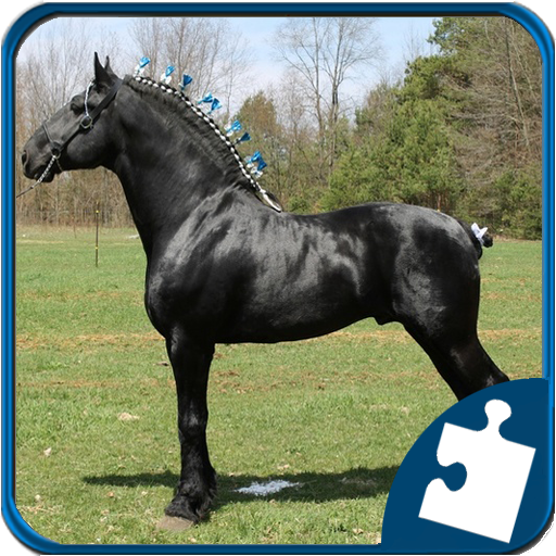 Draft Horse Puzzle - App on Amazon Appstore