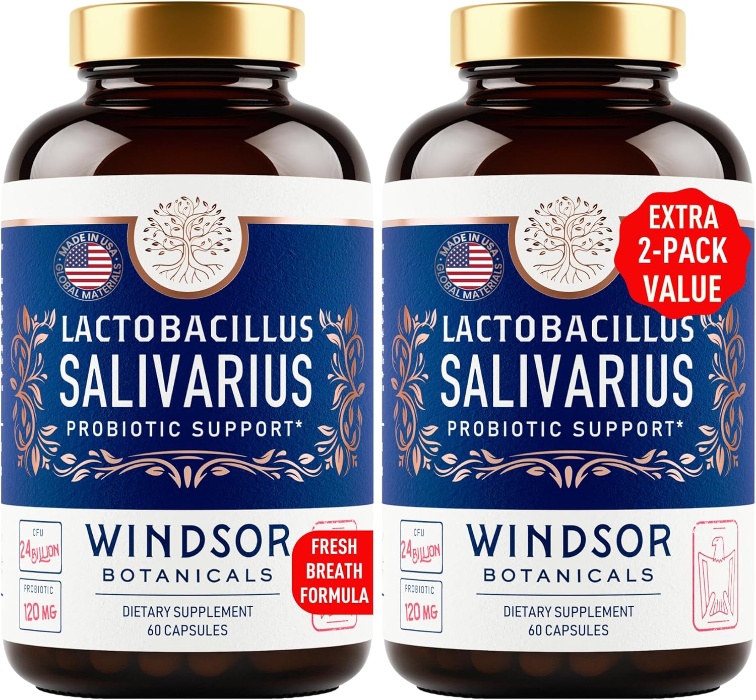 Amazon.com: WINDSOR BOTANICALS Lactobacillus Salivarius Probiotic ...