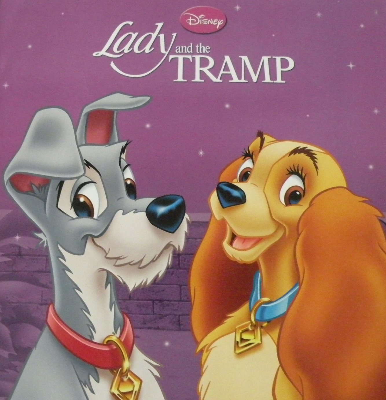 Lady and the Tramp: Elizabeth Rudnick: 9781453003817: Amazon.com: Books