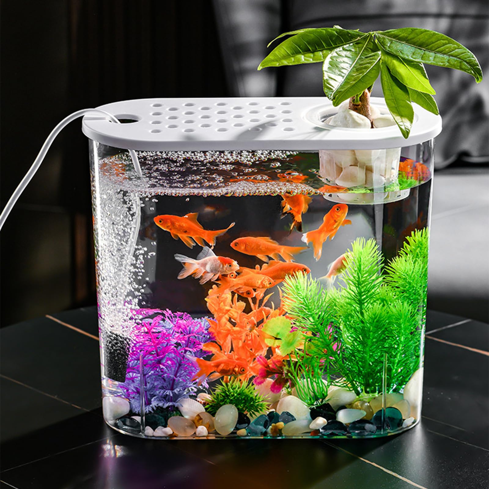 Cool Fish Tanks In Houses