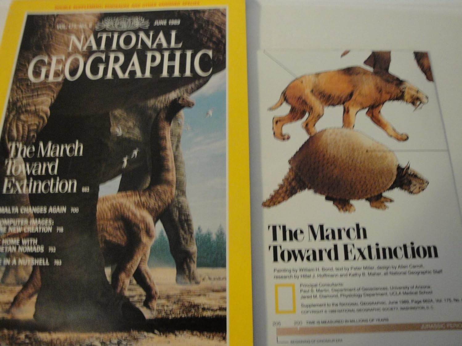 Amazon.com: National Geographic Magazine: The March Toward Extinction ...