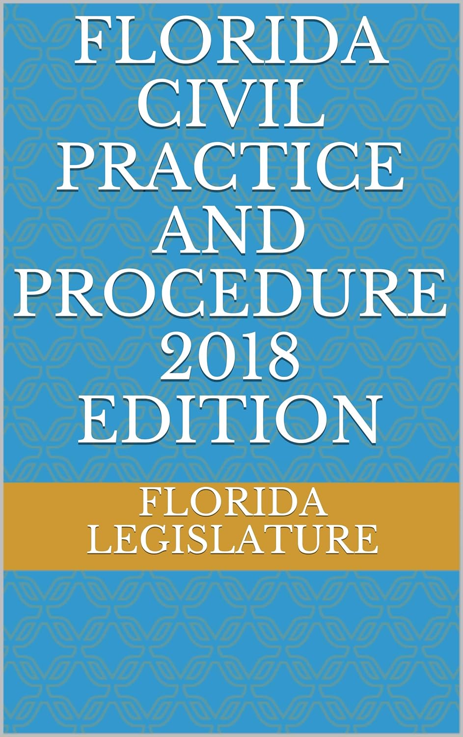 FLORIDA CIVIL PRACTICE AND PROCEDURE 2018 EDITION - Kindle edition by ...