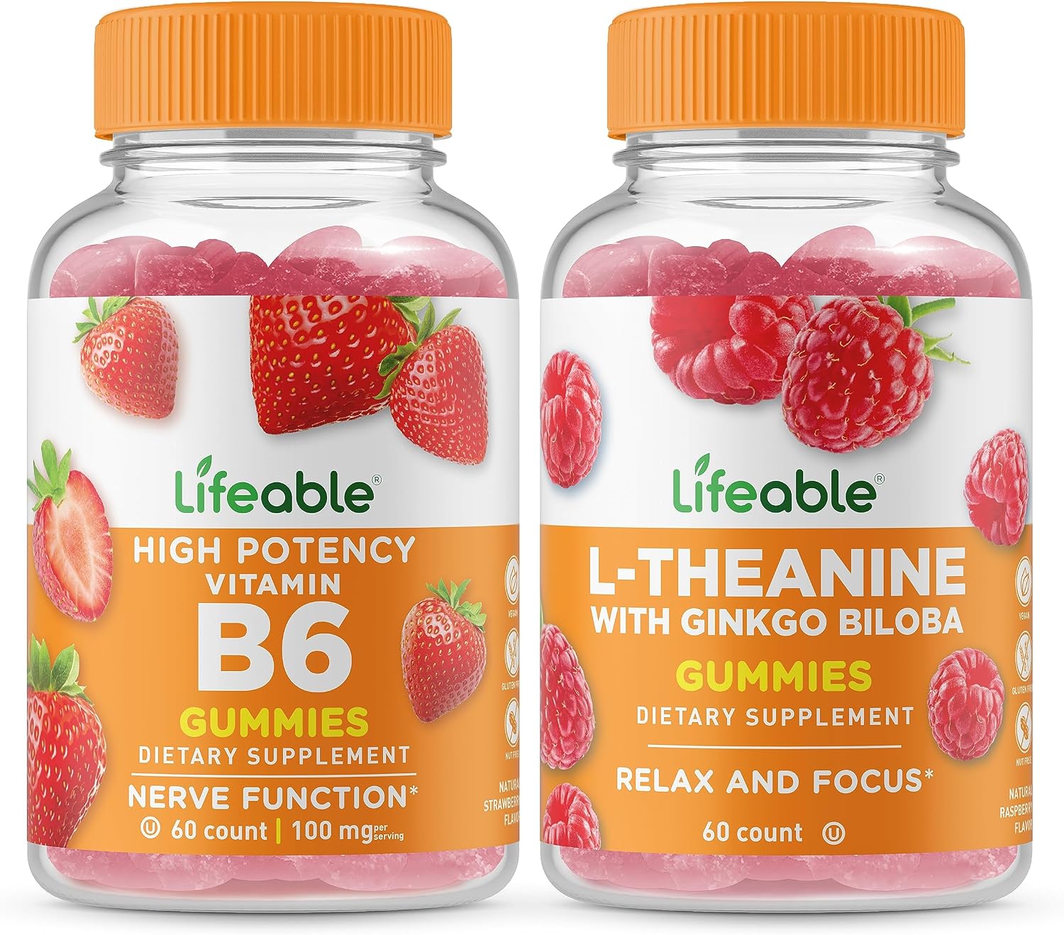 Amazon.com: Lifeable Vitamin B6 + L Theanine with Ginkgo Biloba ...