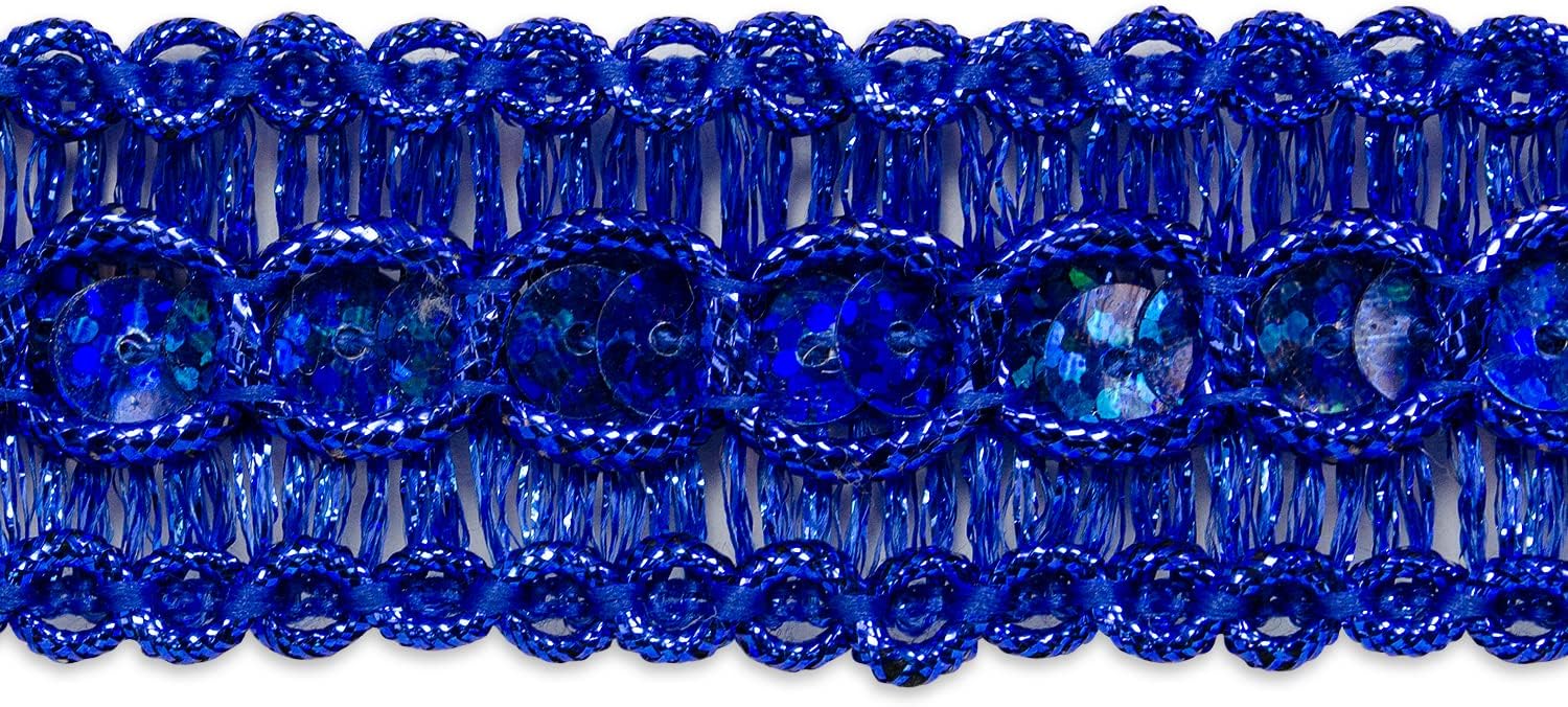 Amazon.com: Trims By The Yard Trish Sequin Metallic Braid Trim, 7/8 ...