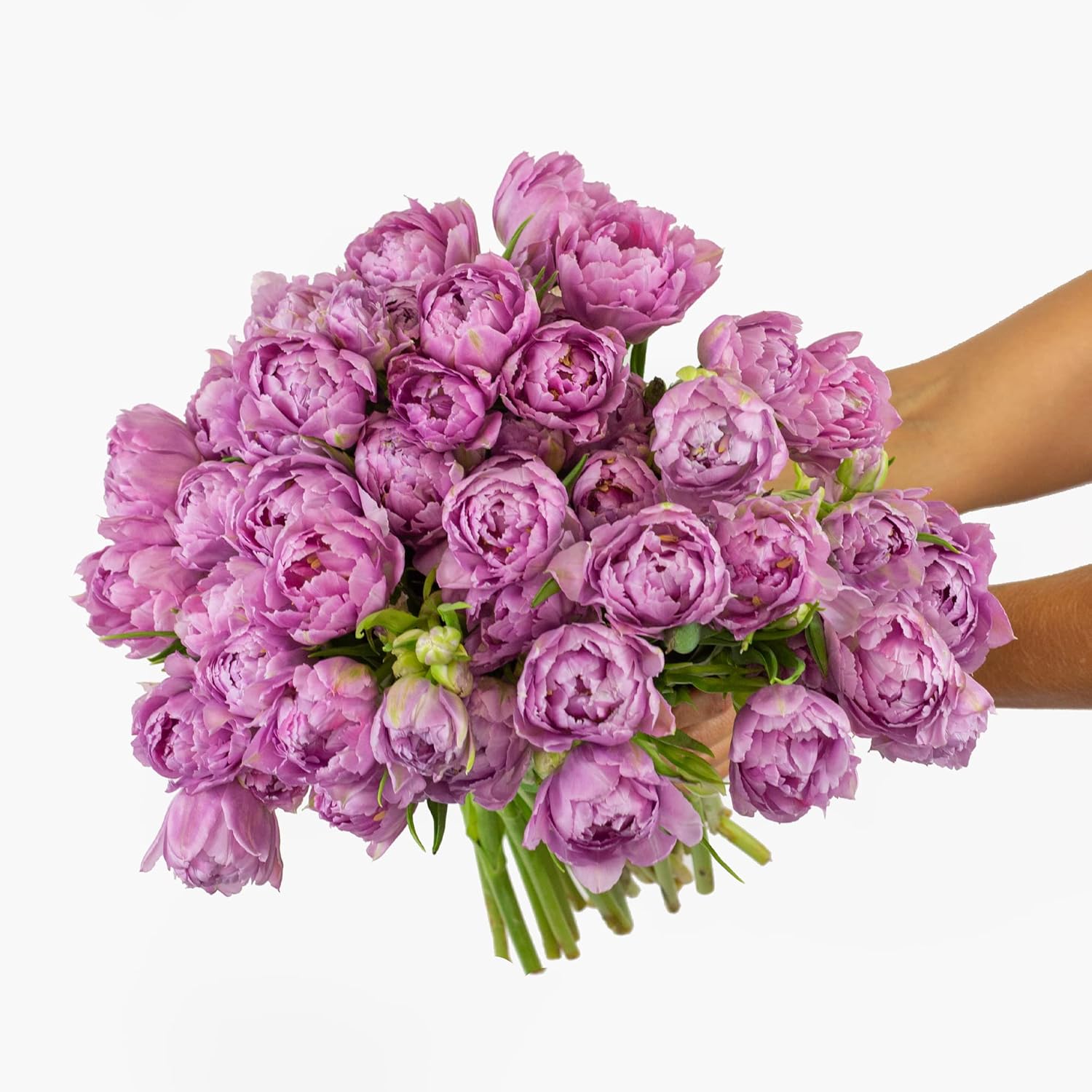 Amazon.com: BloomsyBox: Bouquets Lavender Peony Tulips, 50 Stunning ...