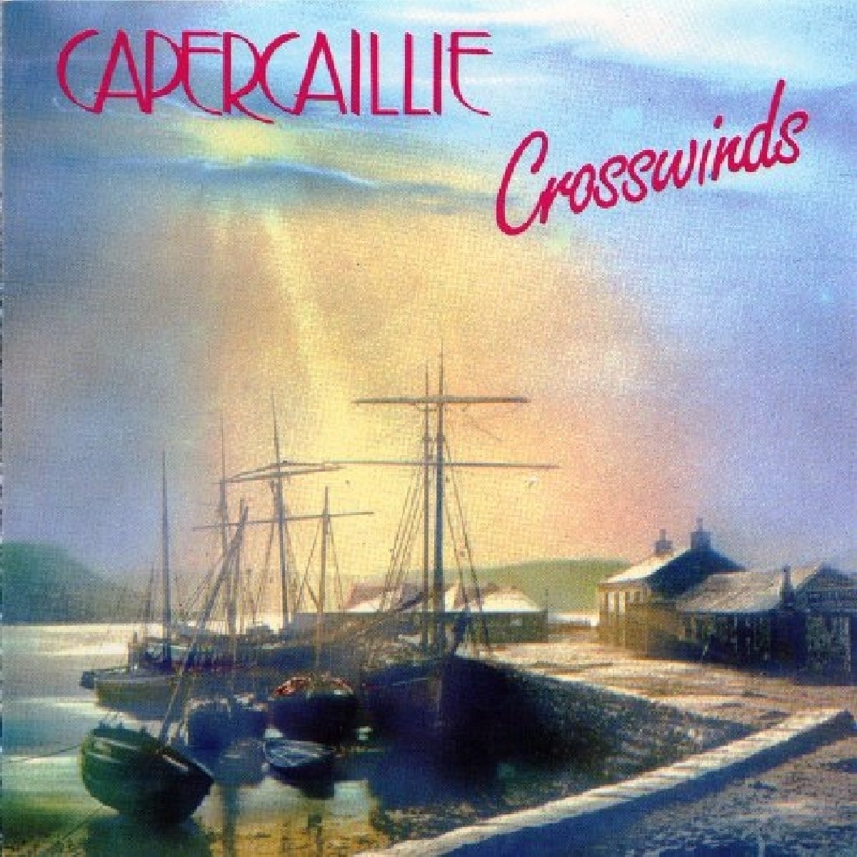 Capercaillie, Traditional, Martin MacLeod, Donald Shaw, Shaun Craig ...