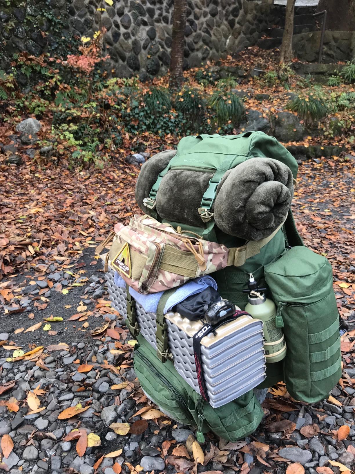 Amazon | DD Bergen Rucksack ベルゲンリュックサック グリーン [並行輸入品] | 登山リュック・ザック