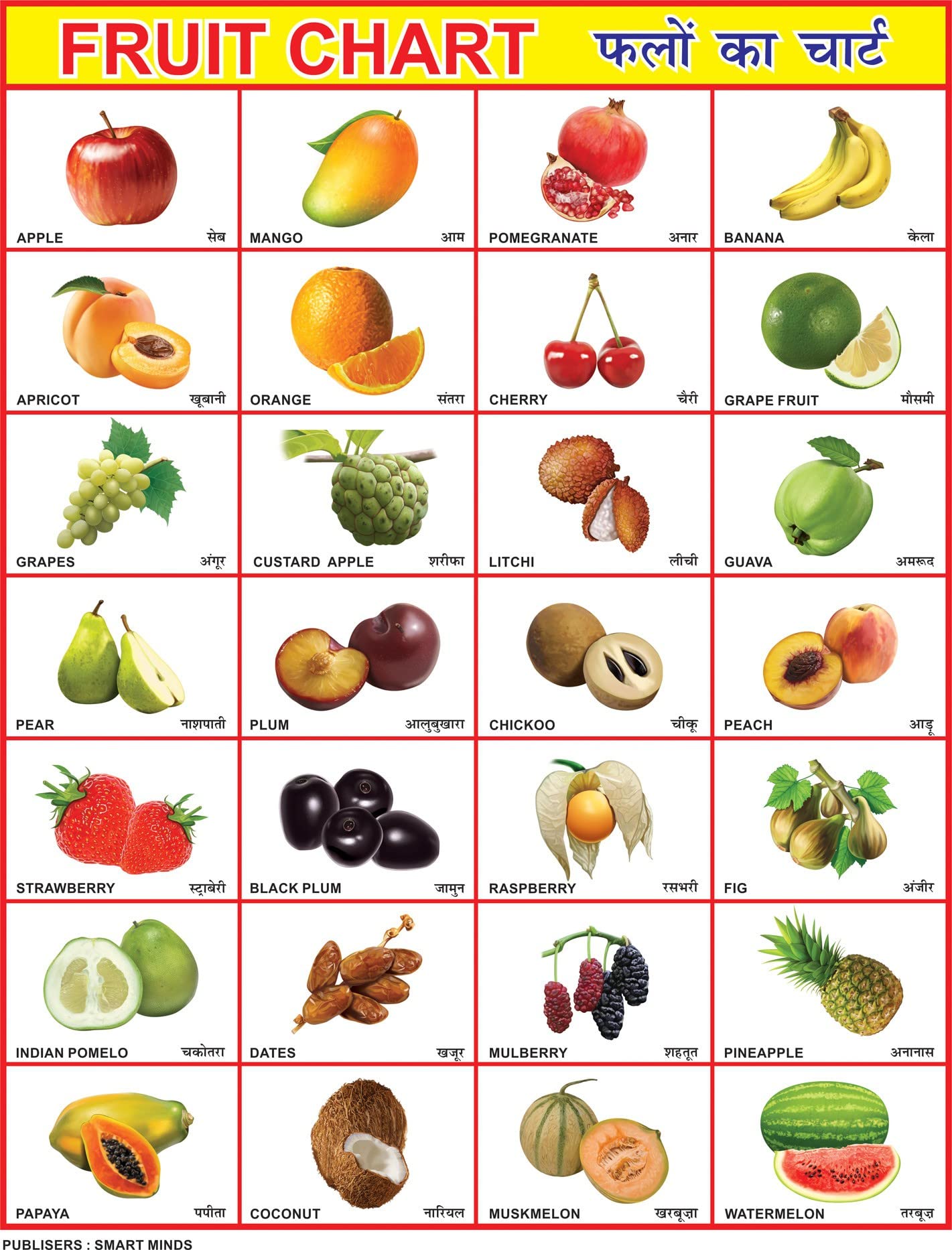 Eoi Marketing English Fruits Chart For Kids | 28X40 Inch | Laminated ...