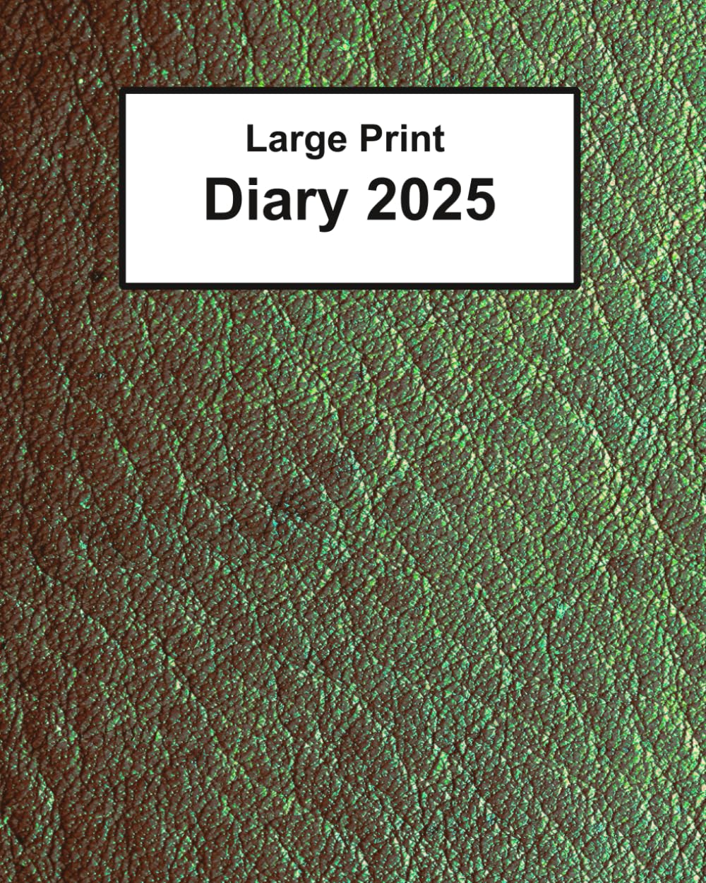 Large Print Diary 2025: super clear type, week to a page : Publishing ...