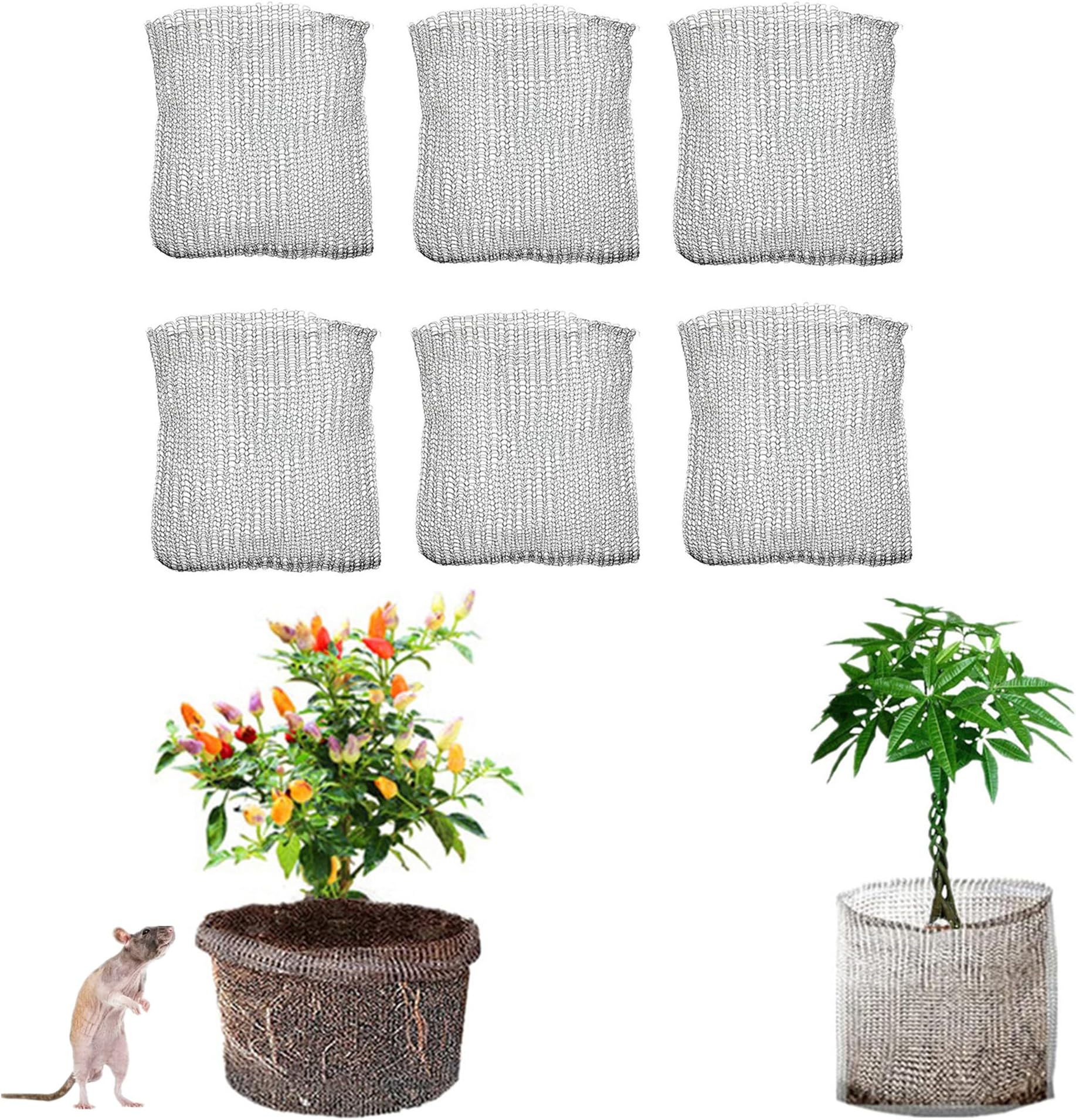 Amazon.com : 6 PCS Root Gallon Gopher 3 Gallon 304 Stainless Wire Speed ...