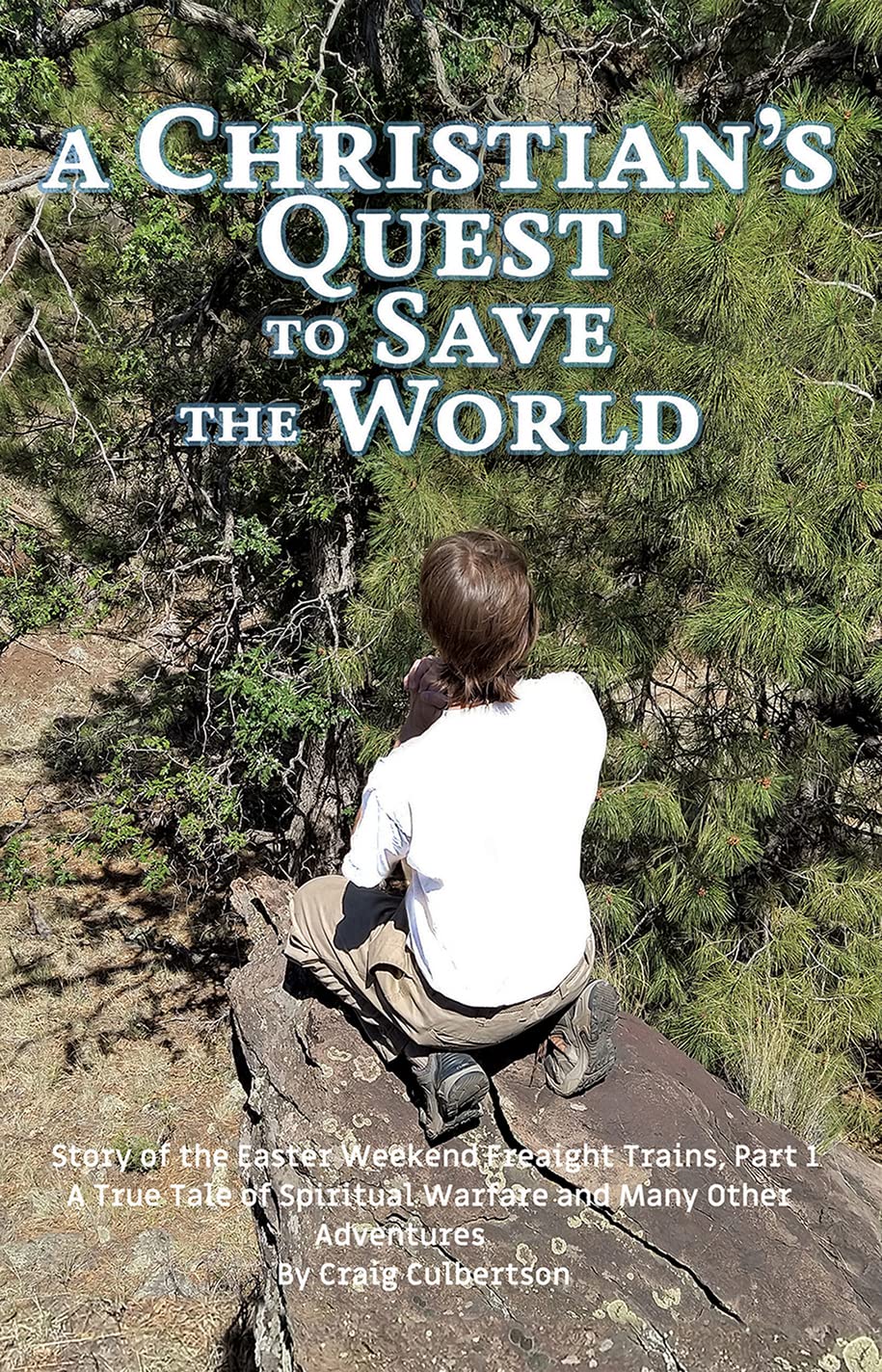 Amazon.com: A Christian's Quest to Save the World: Story of the Easter ...
