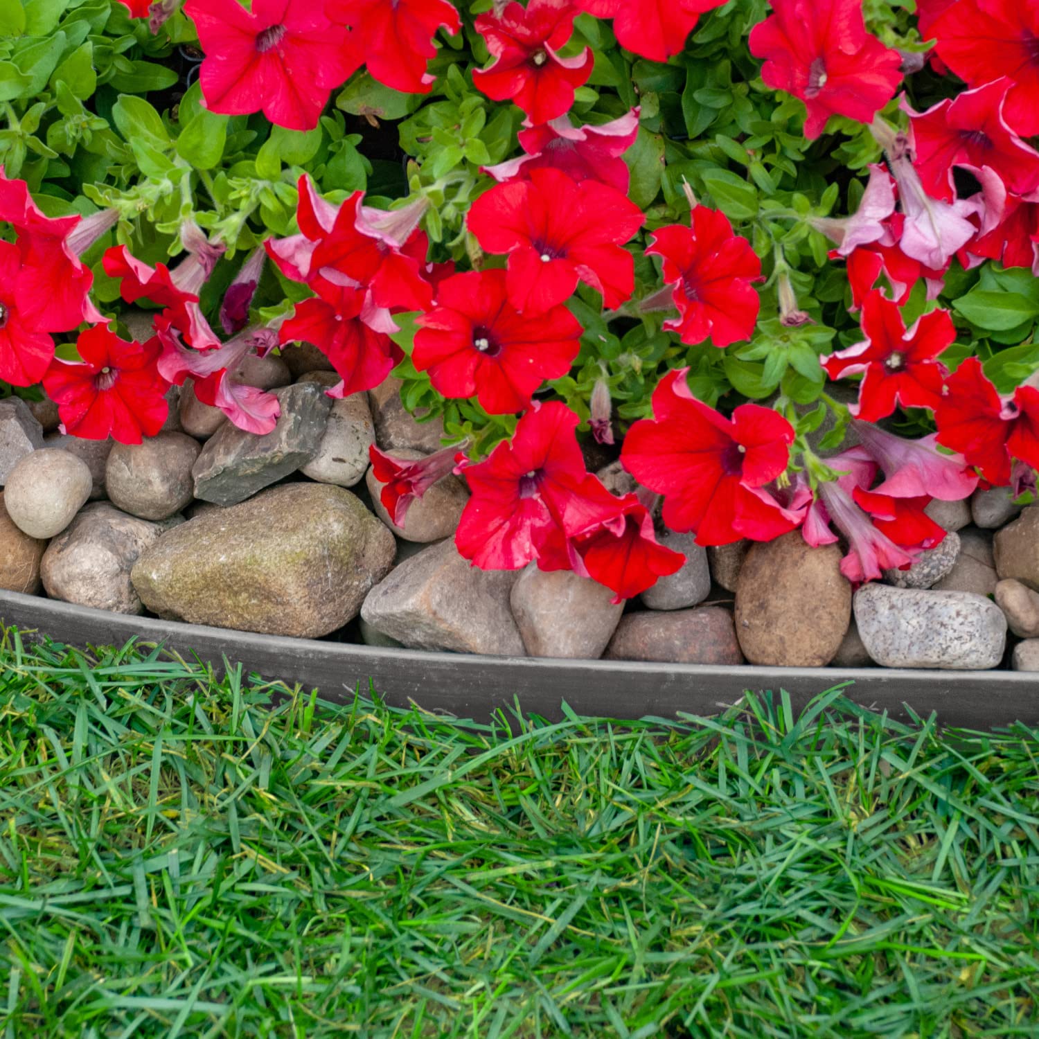 Snapklik.com : EasyFlex Heavy Duty No-Dig Landscape Edging - 50 Kit