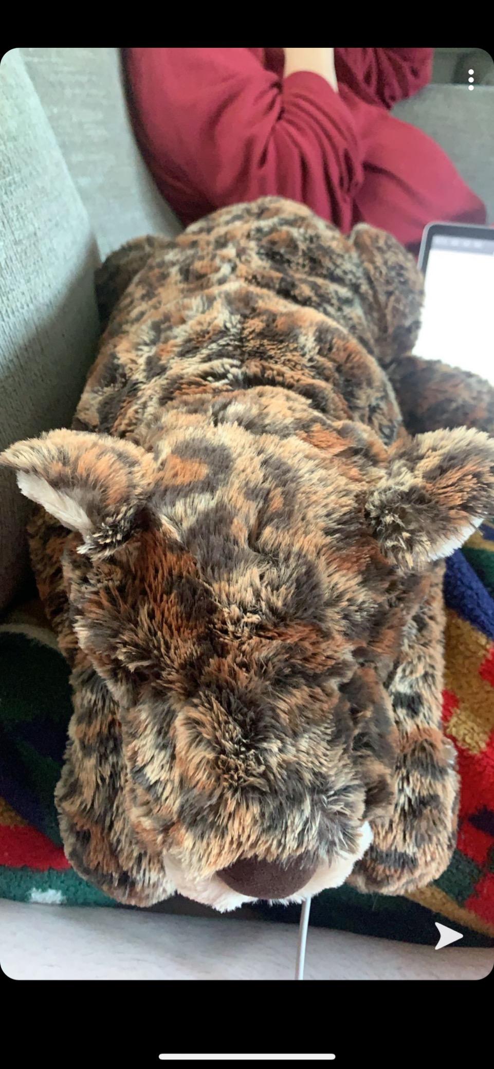 Amazon.com: Jellycat Livi Leopard Stuffed Animal, Large 14 inches - Big ...