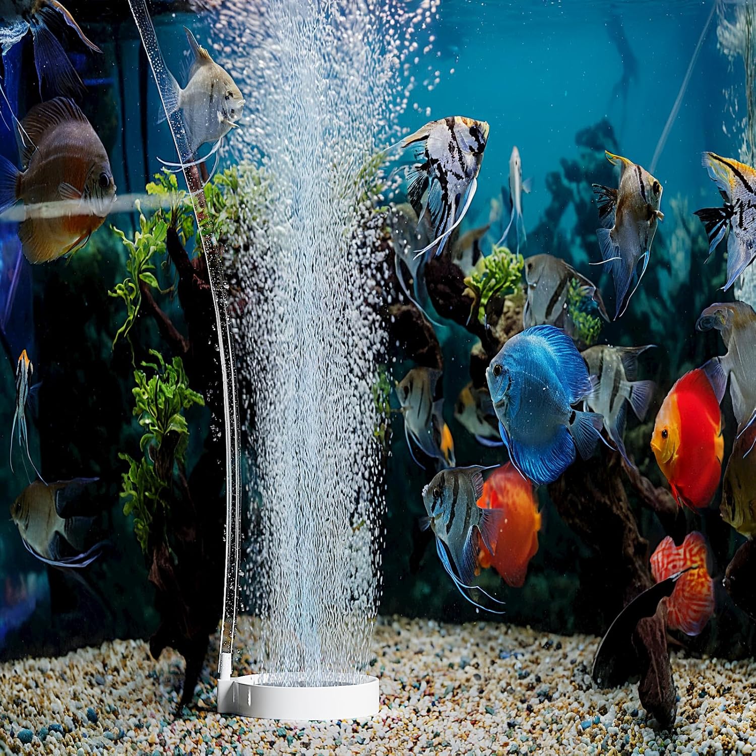 Amazon.com : CICK SEED Aquarium Air Stone, Bubbler for Aquarium Fish Tank, Fast and Dense ...