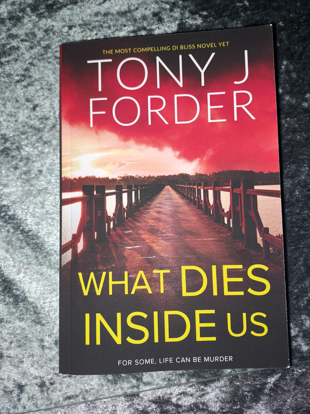 What Dies Inside Us (The DI Jimmy Bliss Crime Series Book 11) eBook : J ...