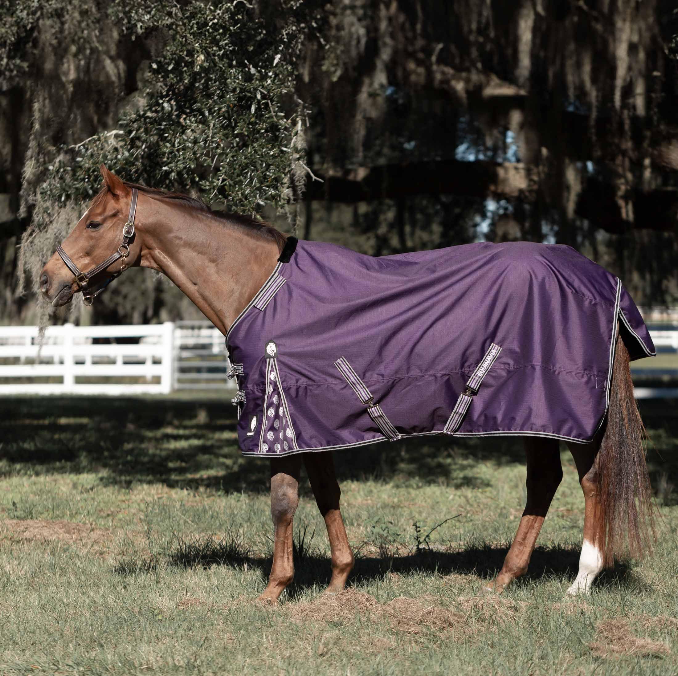 Snapklik.com : Equinavia Norse Lightweight 100g Fill Horse Rain Blanket ...