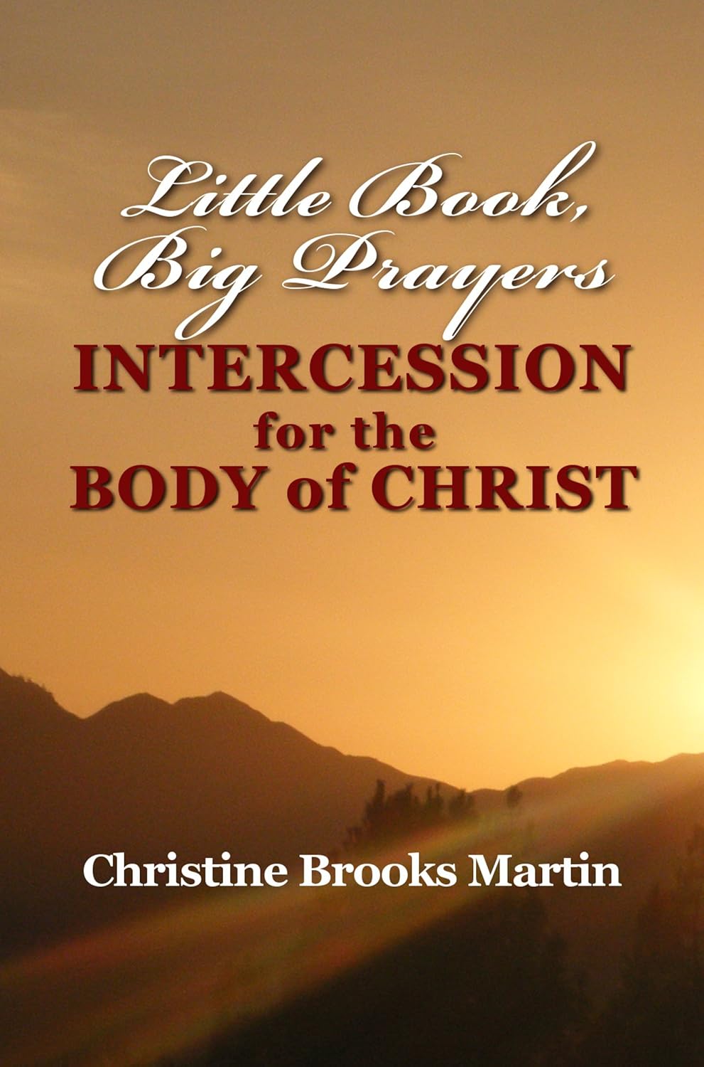 Little Book, Big Prayers: Intercession for the Body of Christ - Kindle ...