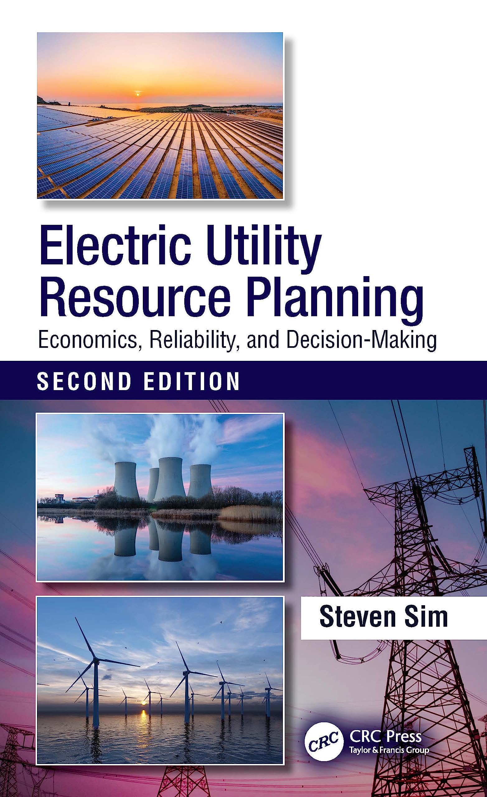 Electric Utility Resource Planning: Sim, Steven: 9781032294193: Amazon ...