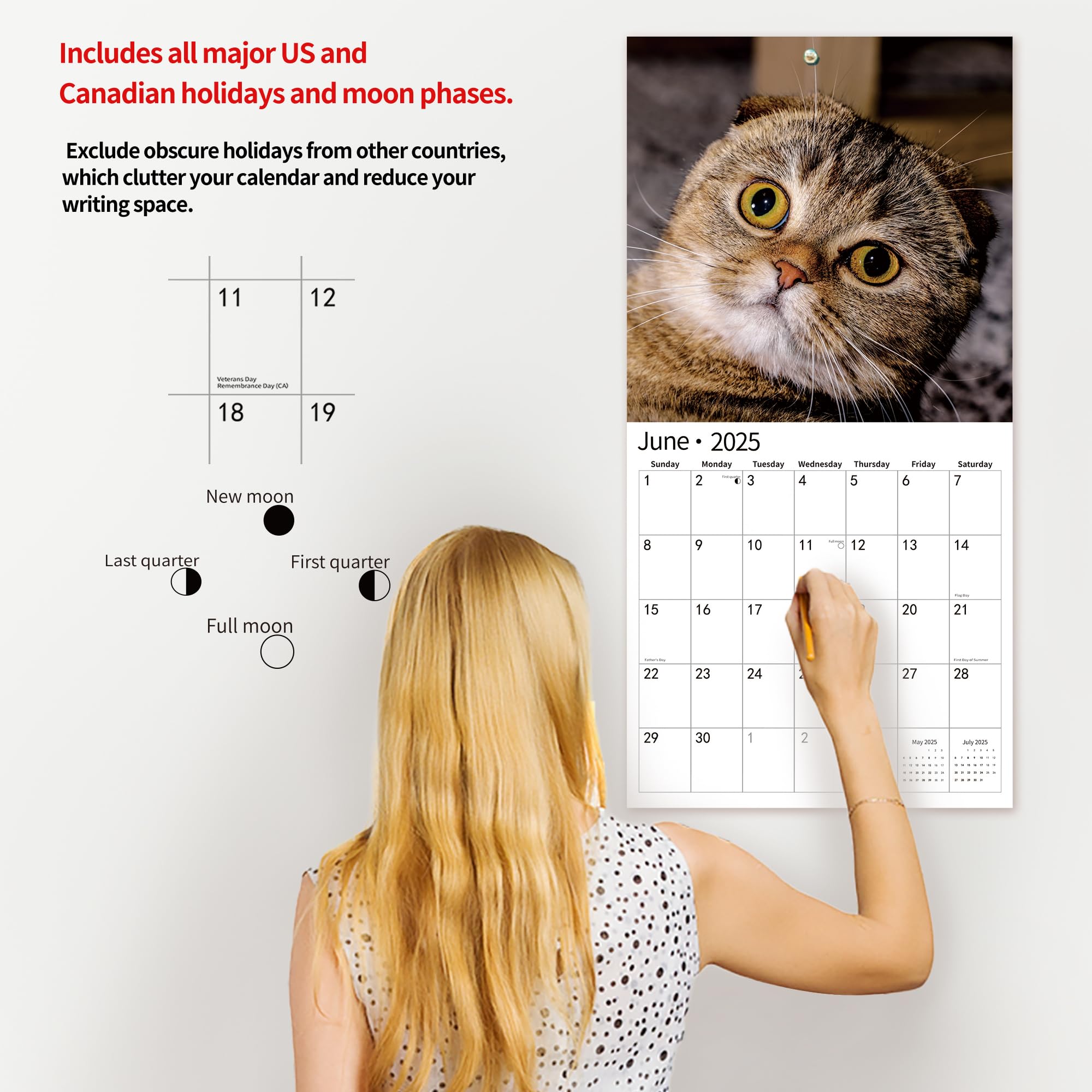 Snapklik.com : 2025 Wall Calendar,Funny Calendar 2025, January 2025 ...