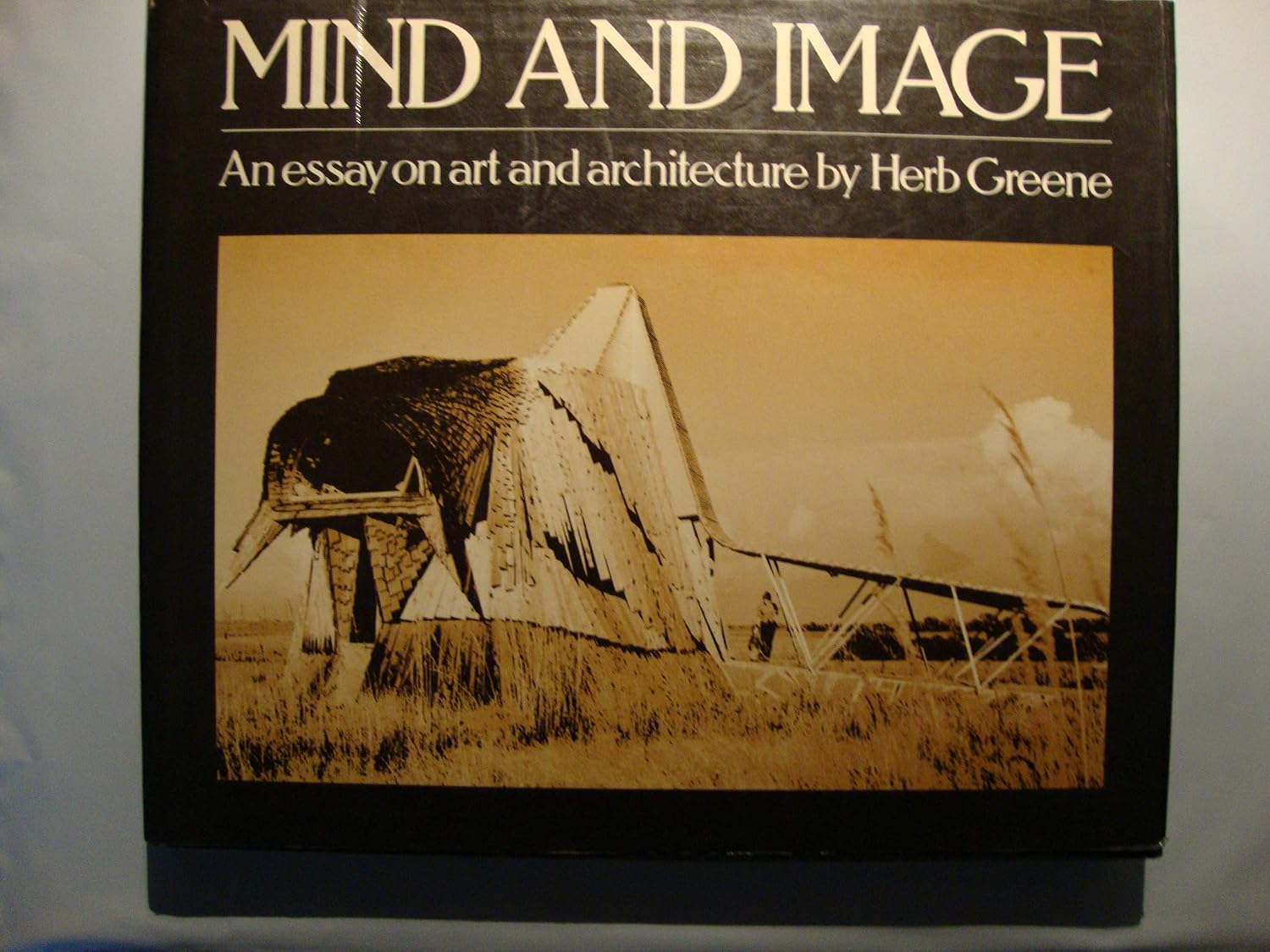 Theories and history of architecture: Tafuri, Manfredo: 9780246111753 ...