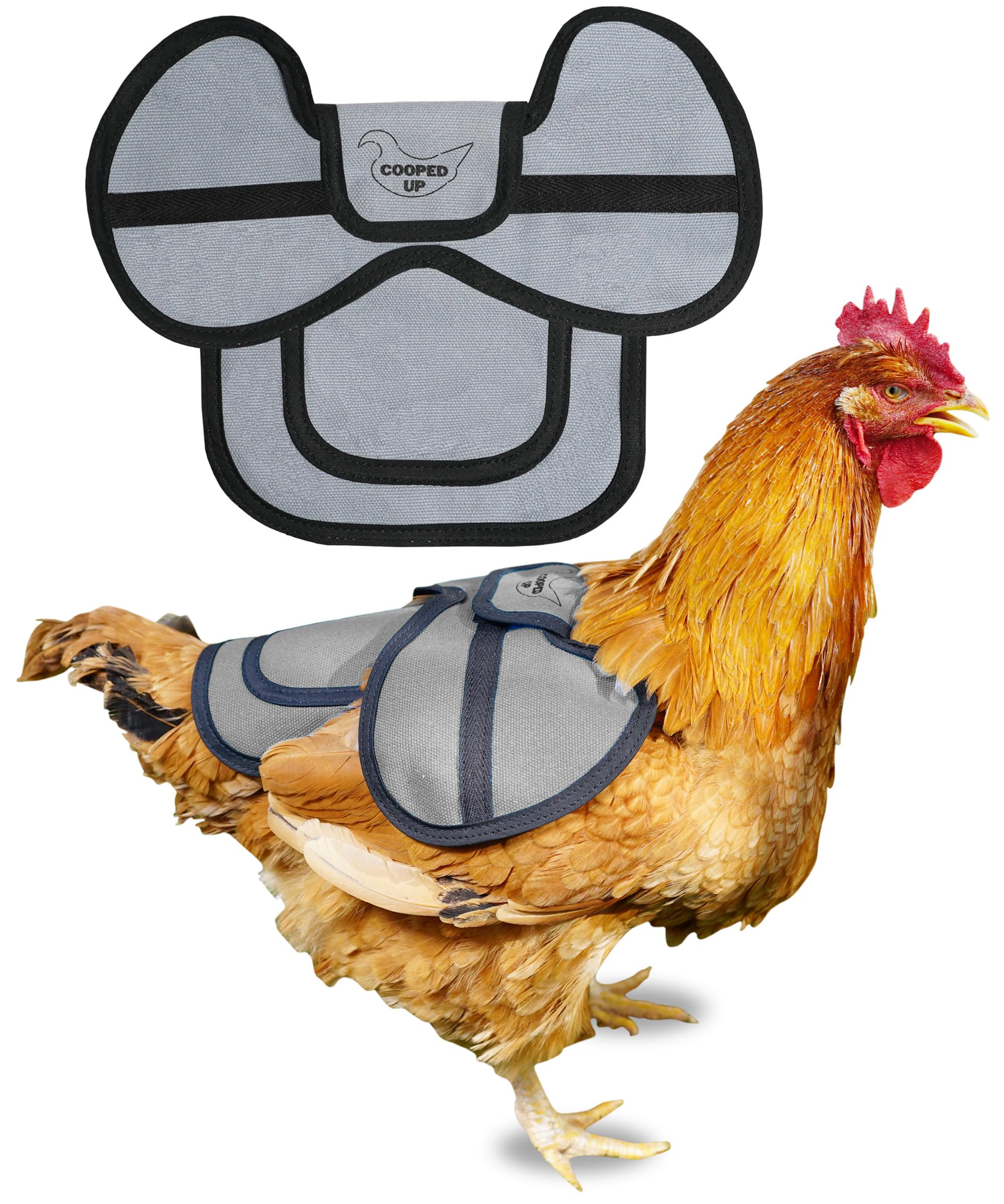 Amazon.com : Canvas Chicken Saddle for Hens with Larger Wing Cover ...