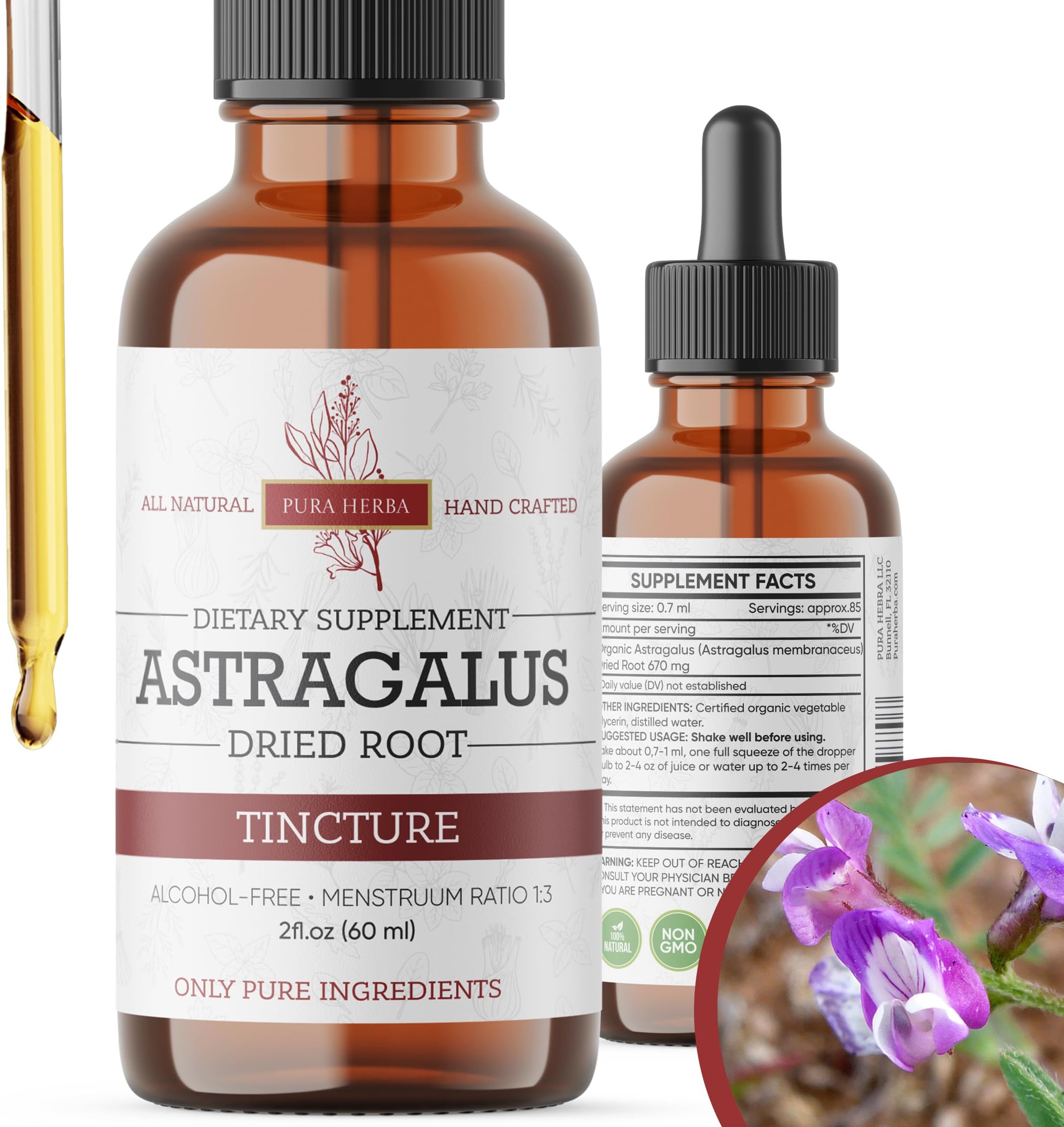 Amazon.com: Dragon Herbs - Astragalus Root Drops - 2 fl oz : Health ...