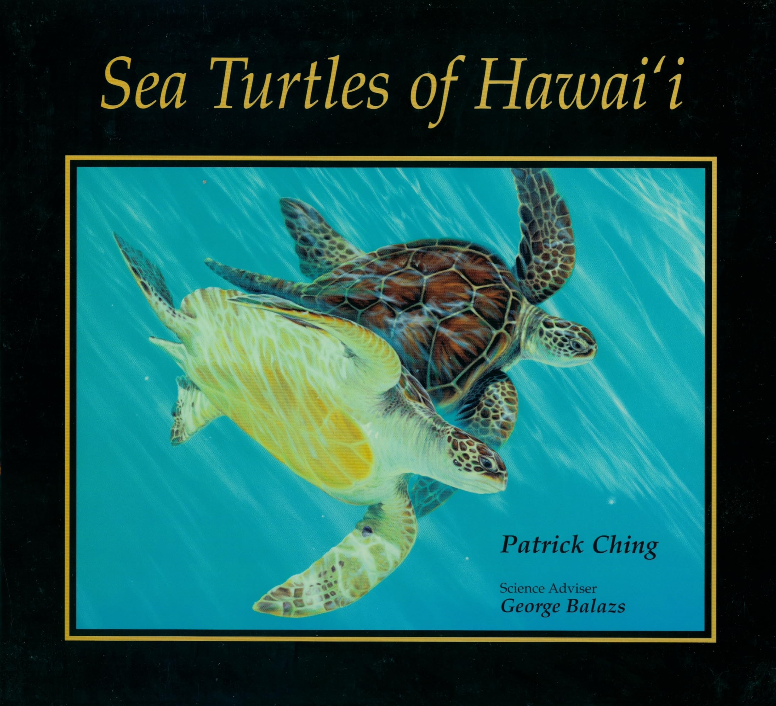 Sea Turtles of Hawai`i: Ching, Patrick: 9780824824341: Amazon.com: Books