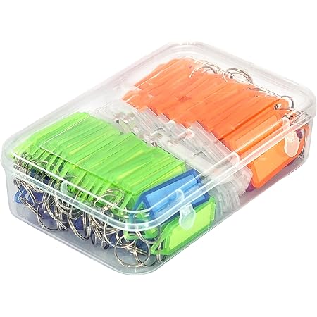 SNDIA Multi Color Keyrings with Key Tag Labels Pack of 100 : Amazon.in ...