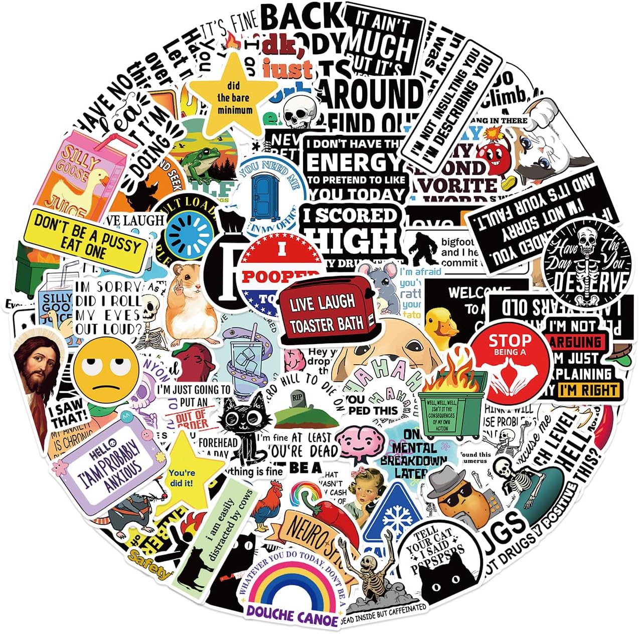 Amazon.com: Funny Prank Meme Stickers for Teens Adult, 100 PCS ...