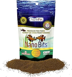 Protein In Insects: A Nutritional Powerhouse? | MedShun