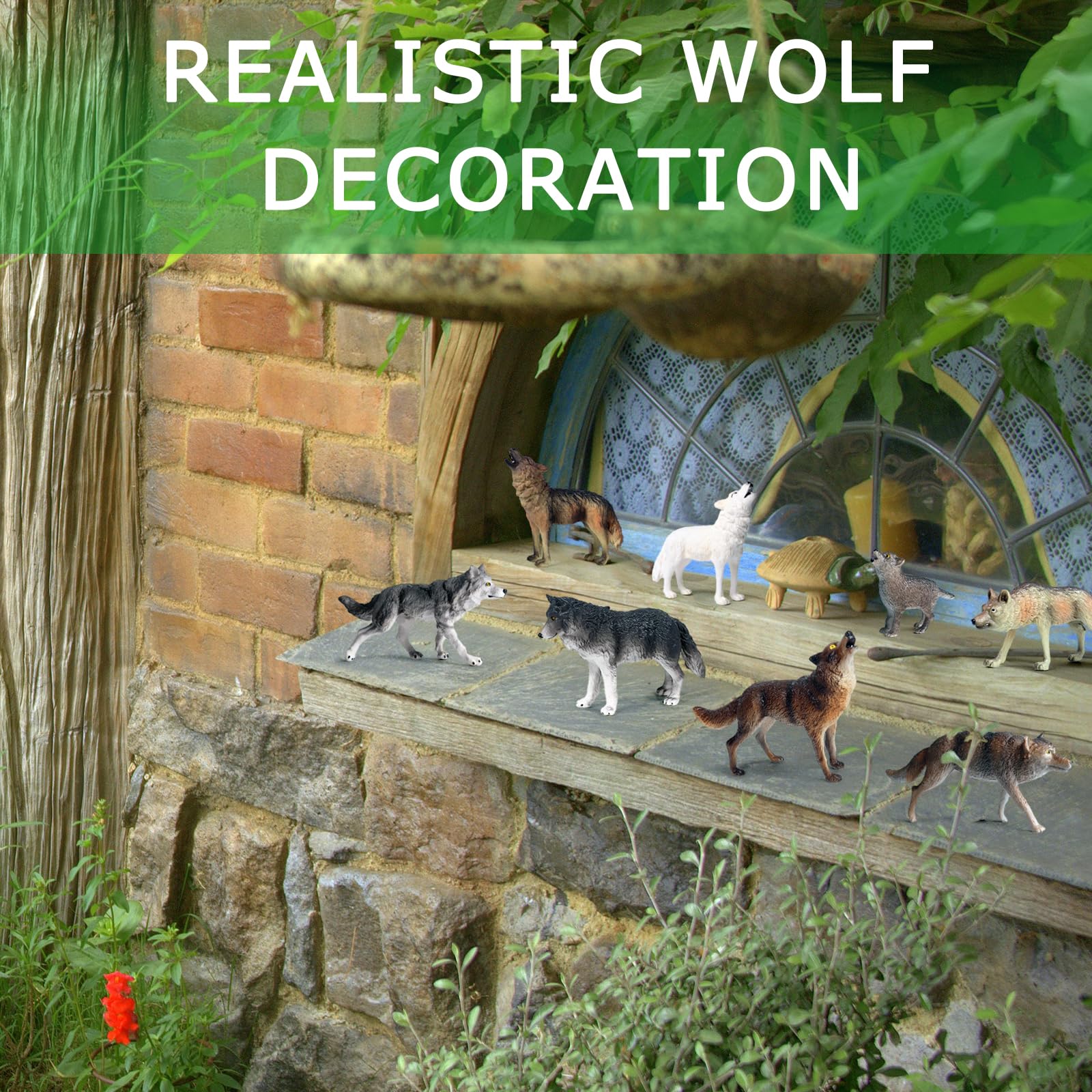 Grey Wolf Habitat Diorama Forest Diorama School Habitat Diorama