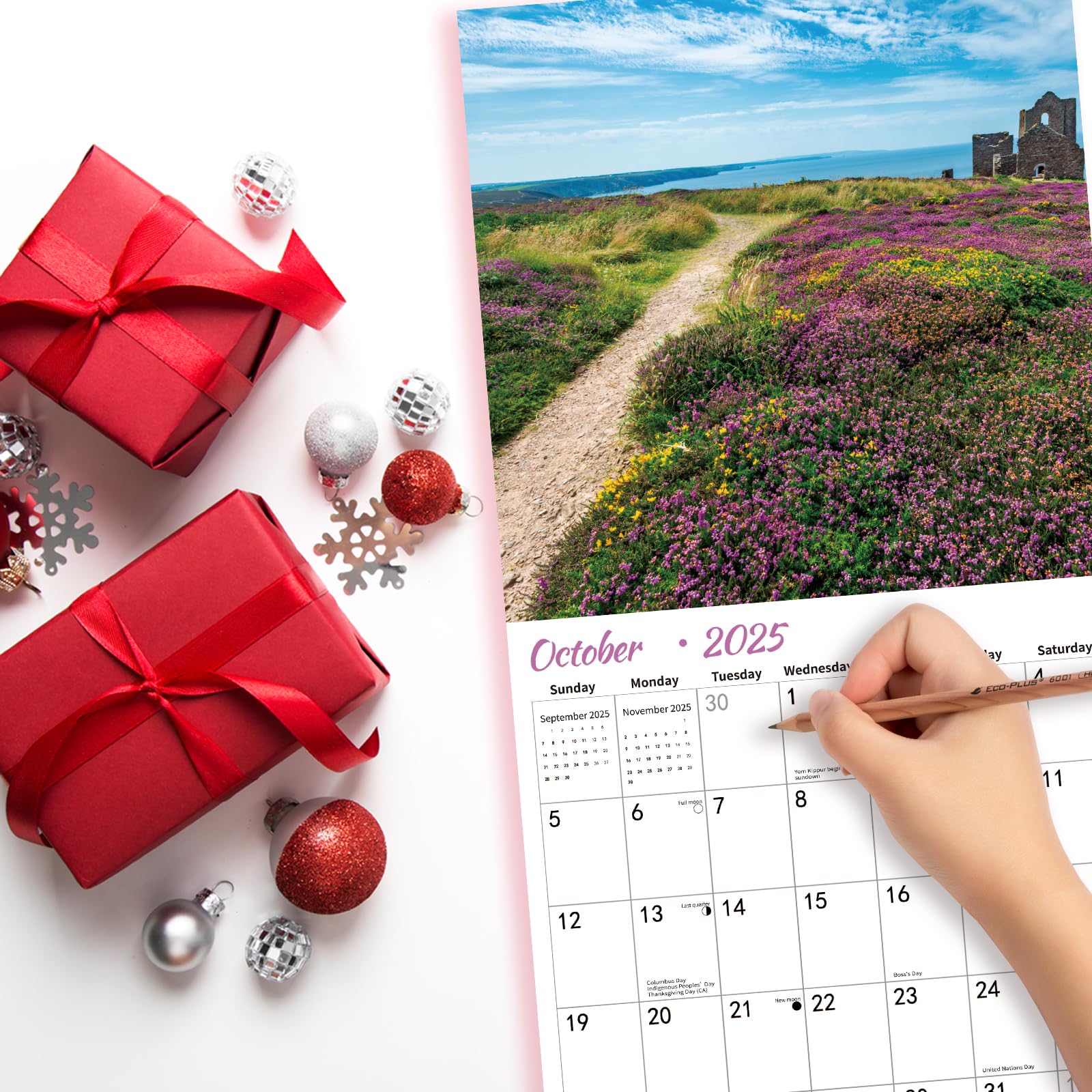 Snapklik.com : 2025 Wall Calendar PATHWAYS Jul 2024 -Dec 2025 18 ...