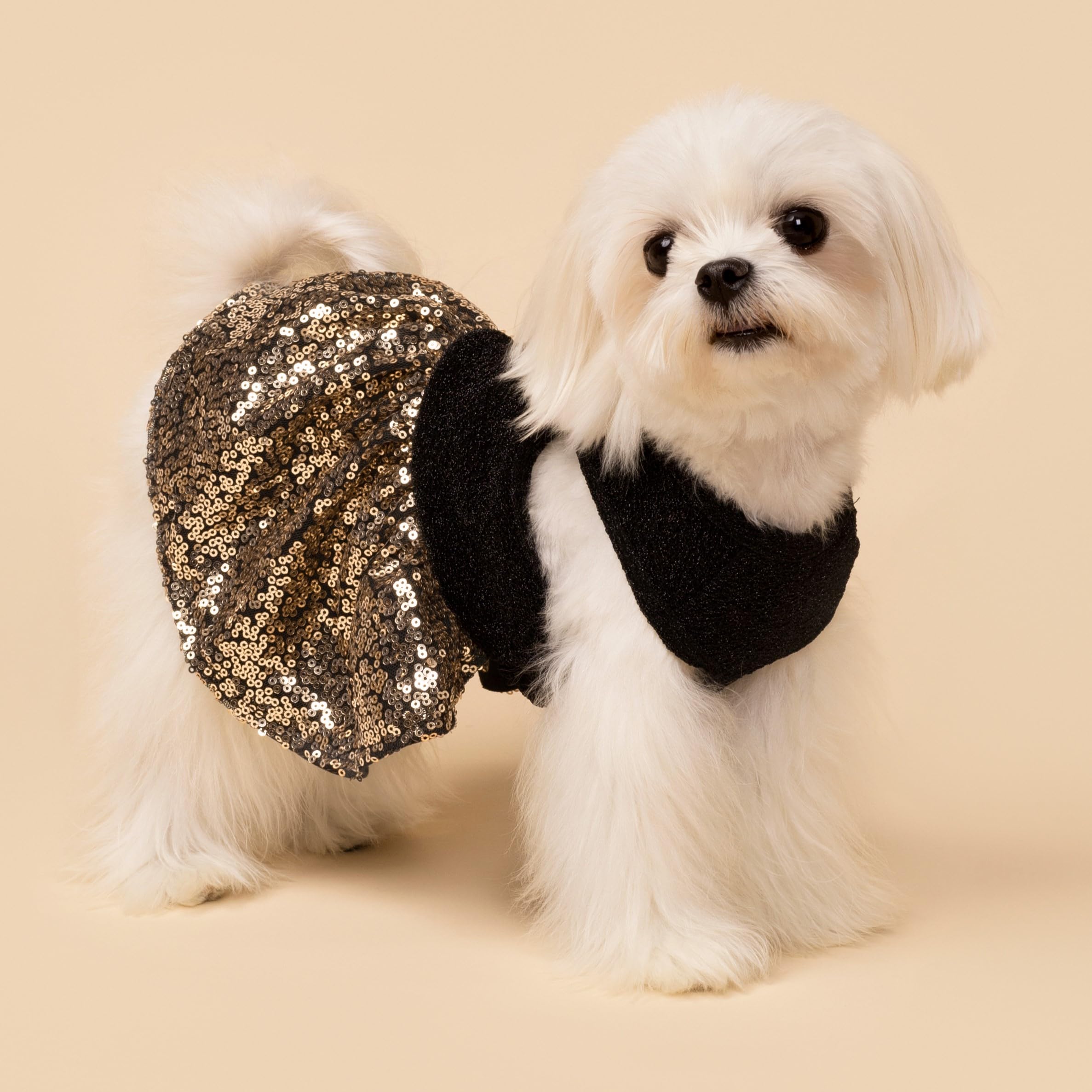 Snapklik.com : Fancy Dog Dress, Sparkly Sequin Dog Clothes For Small ...