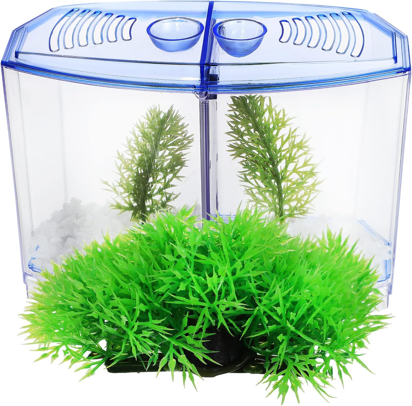 Amazon.com : Marina CUBUS Glass Betta Kit – Elegant Glass Aquarium for ...