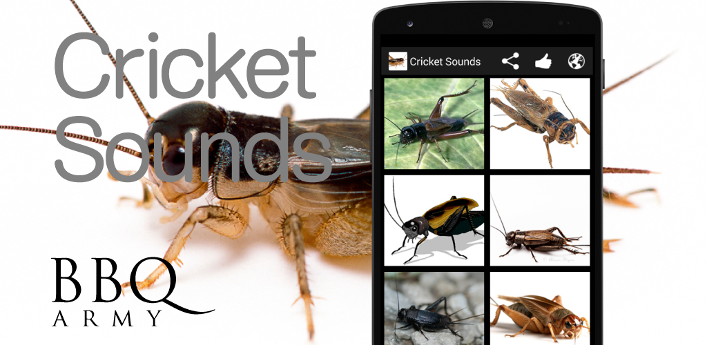 Cricket Sounds - App on Amazon Appstore